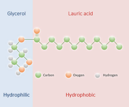웹반응형 기반 웹빌더 시스템 v2.0