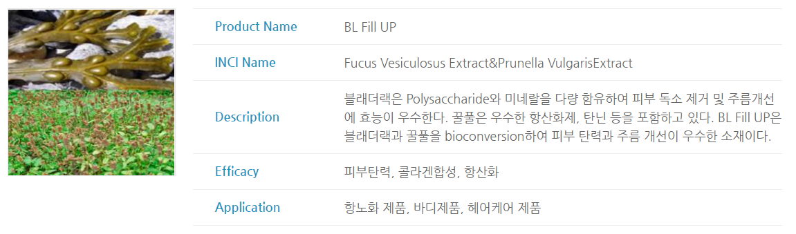웹반응형 기반 웹빌더 시스템 v2.0